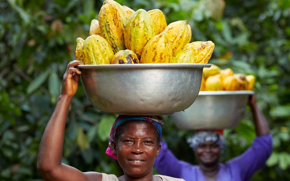 Our Story - Kumbi Cocoa
